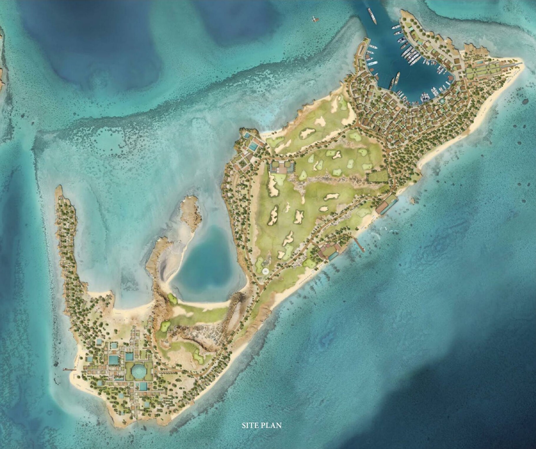 NEOM Saudi Arabia construction updates